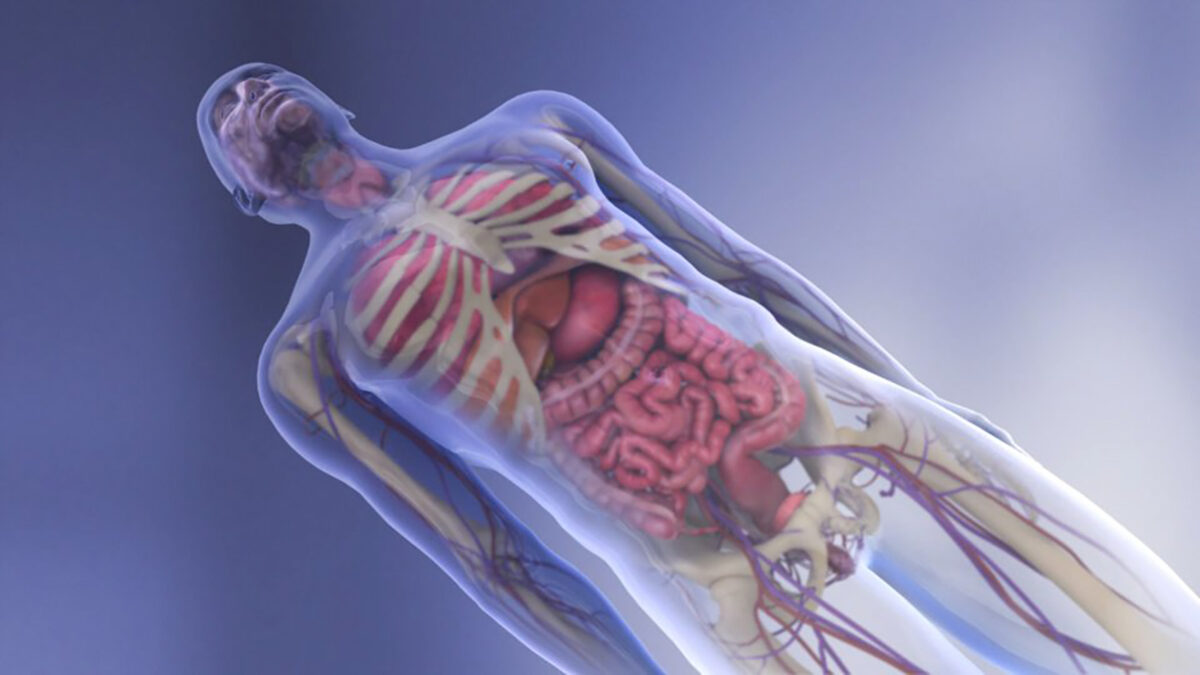 Medical Illustration & Animation - BREAKIRON Animation&Design